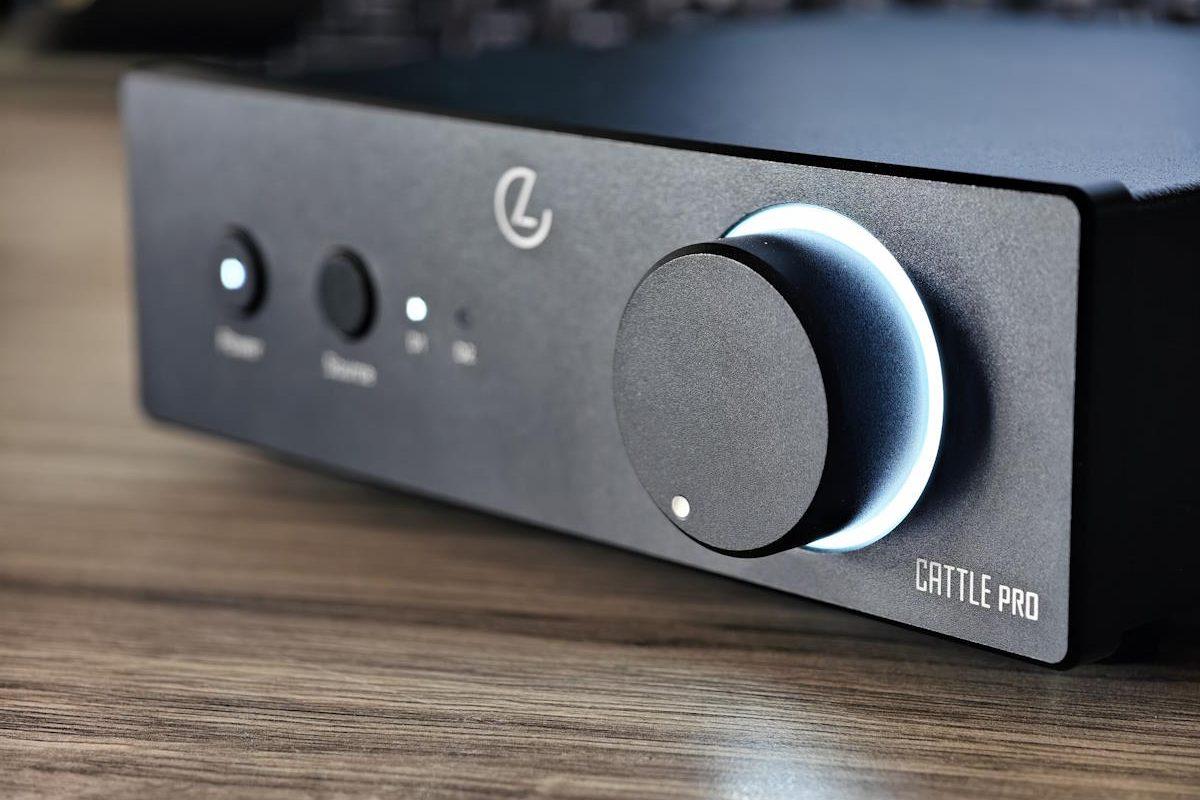SIMGOT EW300 and EW300 DSP Review • maDog